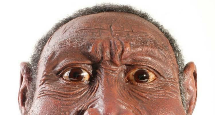 Homulus Saphienus Audiophilus İnsanı Ortak Özellikleri