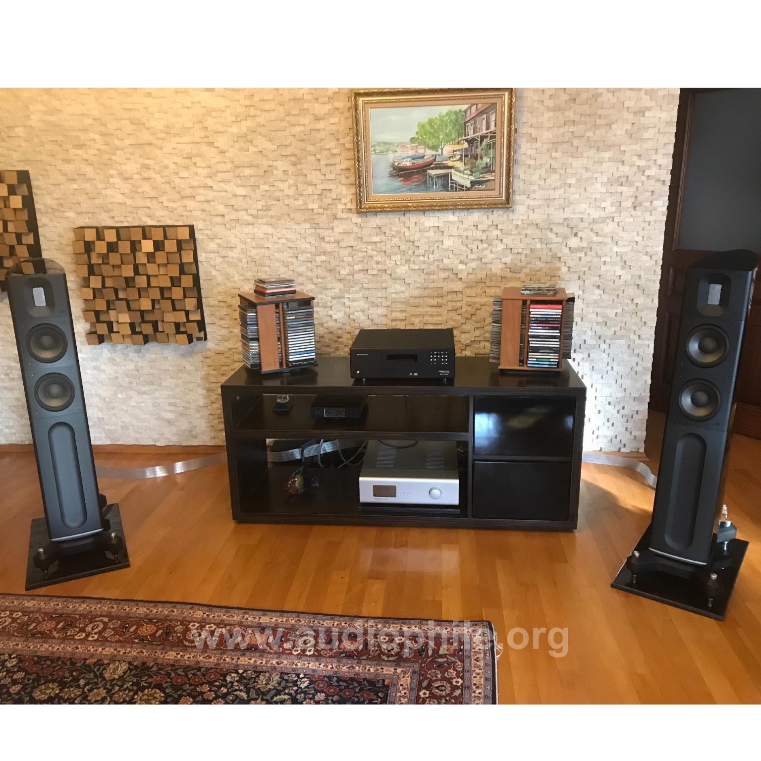 Raidho acoustics d2.1 floorstanding speakers