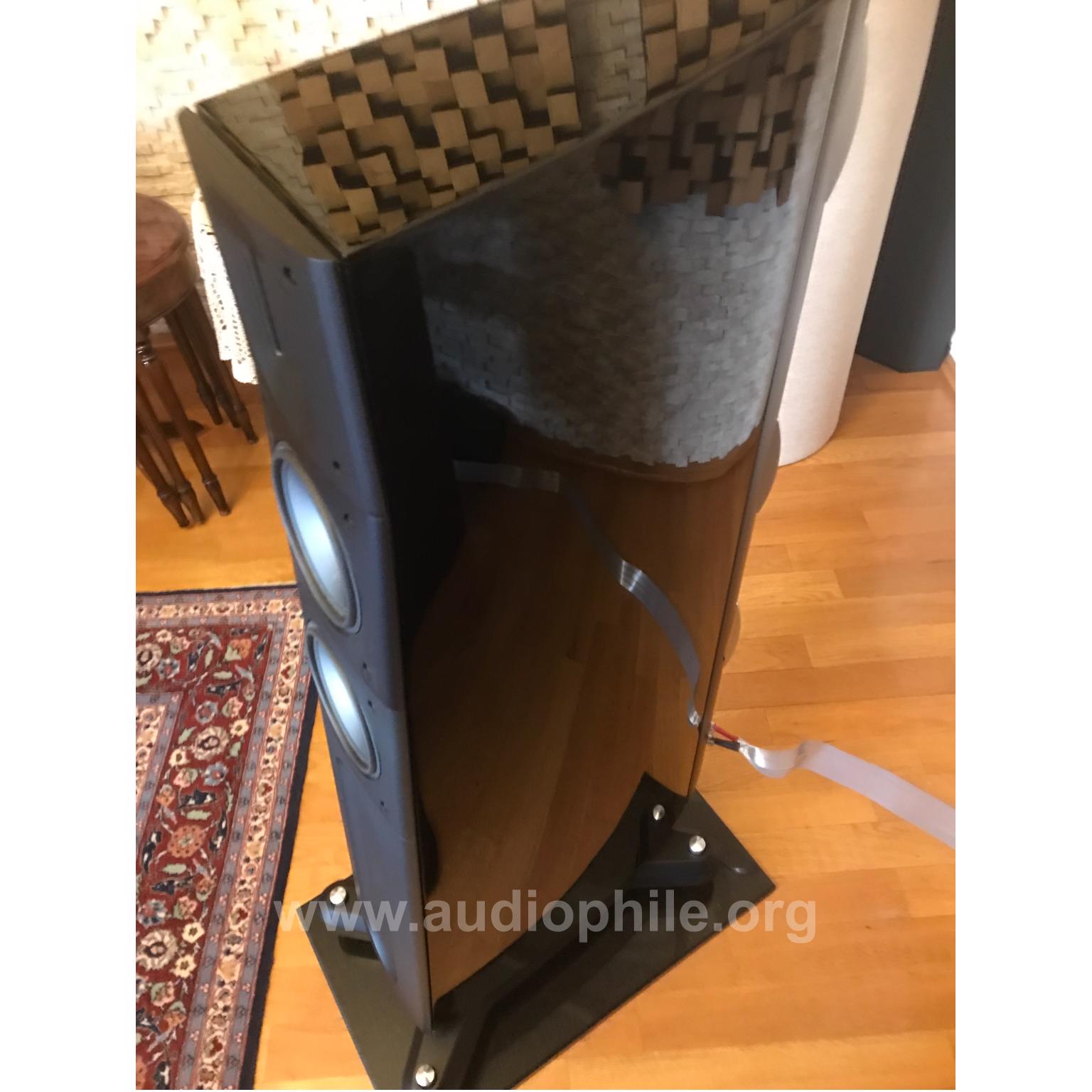 Raidho acoustics d2.1 floorstanding speakers