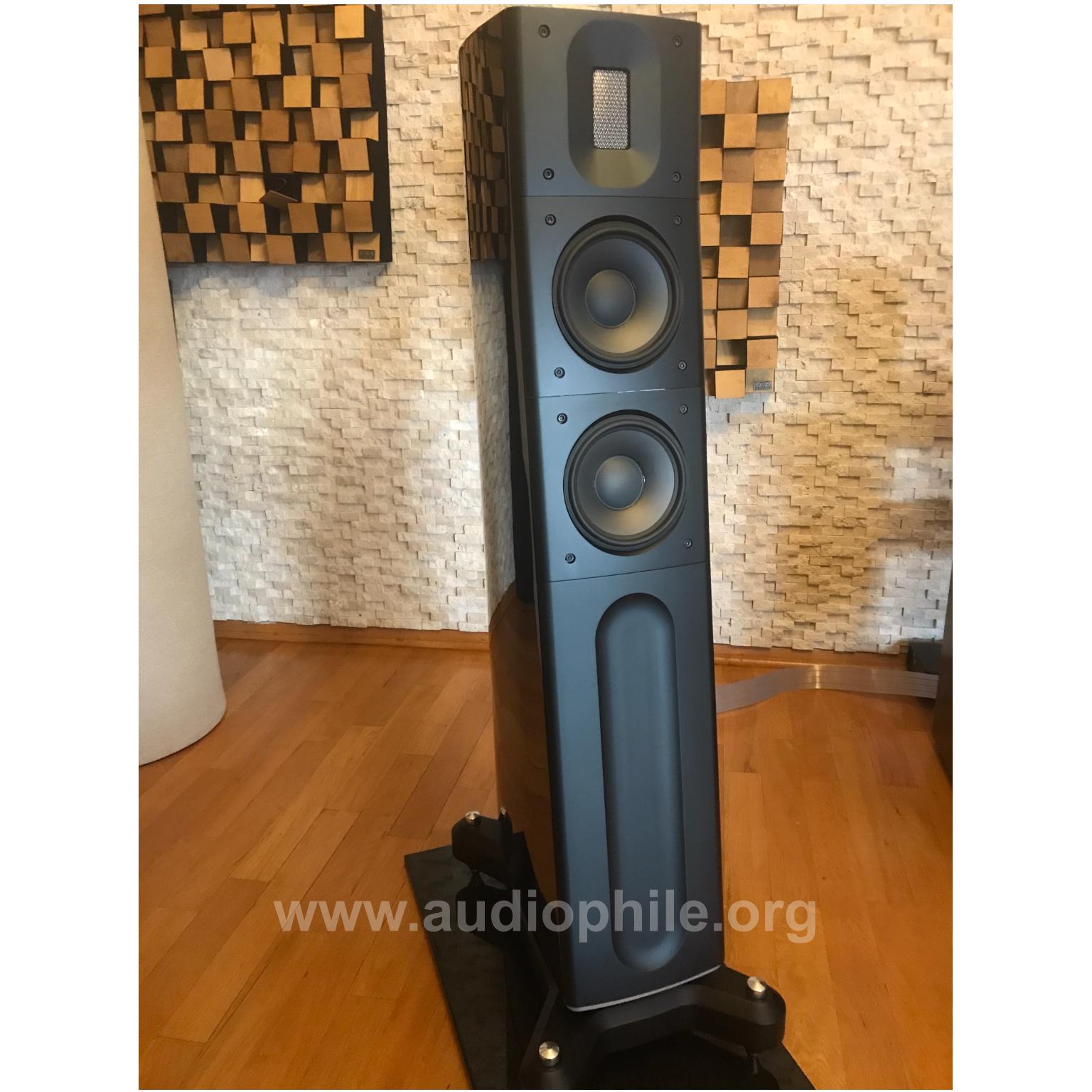 Raidho acoustics d2.1 floorstanding speakers